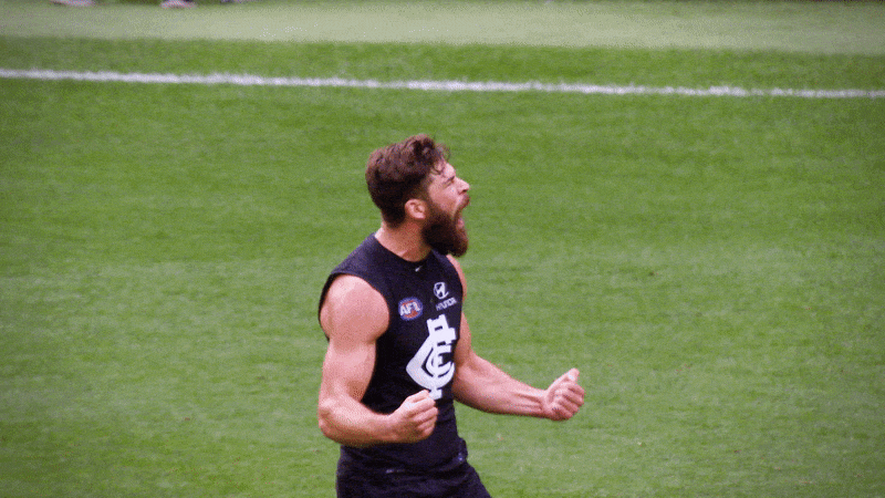 Carlton Fc Celebration GIF by Carlton Football Club - Find & Share on GIPHY