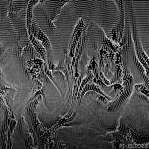 Black And White Loop GIF by Pi-Slices - Find & Share on GIPHY