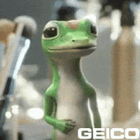 Geico Gecko Gif