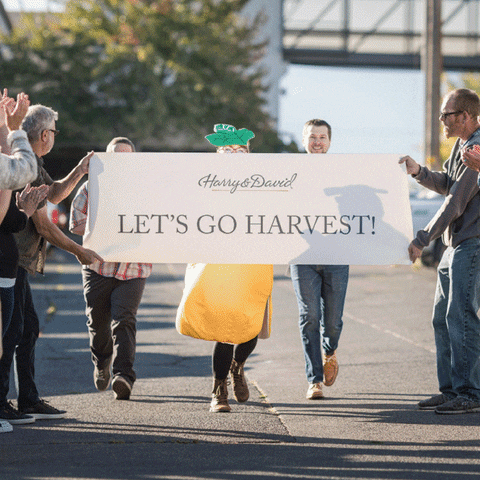 Pear Harvest GIFs - Get the best GIF on GIPHY