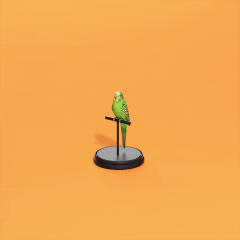 Budgie Smuggler GIFs - Get the best GIF on GIPHY
