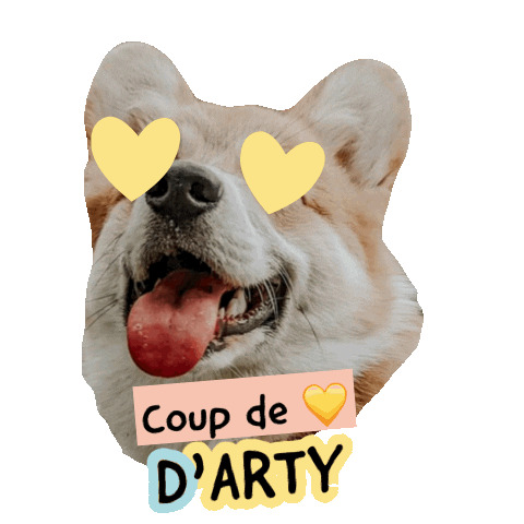 Pawsitive pet GIFs on GIPHY - Be Animated