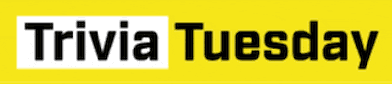 Yellow Tuesday GIFs - Get the best GIF on GIPHY
