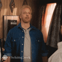 The best GIFs from an all-new Schitt's Creek by CBC | GIPHY
