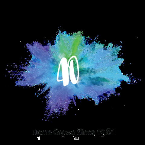Splatter GIF by CYS Global Remit - Find & Share on GIPHY
