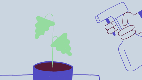 Animation Plant GIF by Daniela Sherer - Find & Share on GIPHY