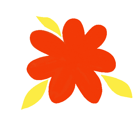 Flower Blooming Gif Transparent