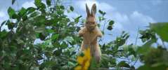 Peter Rabbit GIFs - Find & Share on GIPHY