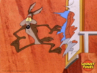 Wile E Coyote Running Off Cliff
