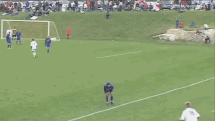 World'S Funniest Fails GIF by Fox TV - Find & Share on GIPHY