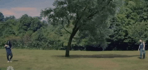 Swaying Trees