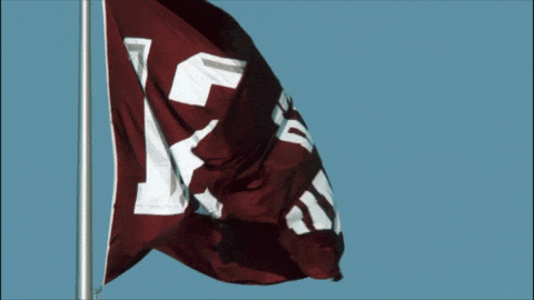 12Th Man Flag GIFs - Get the best GIF on GIPHY