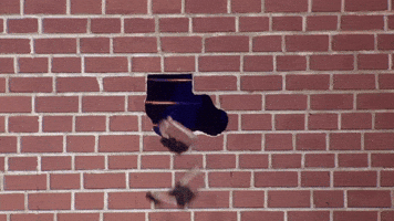 Break Walls GIFs - Find & Share on GIPHY