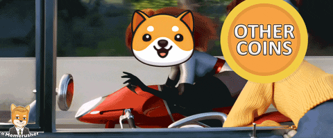 MemeRusher GIFs on GIPHY - Be Animated