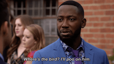 Gifs De Winston Winston New Girl GIFs Find & Share On GIPHY