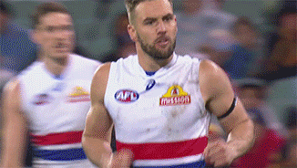 Aussie Rules Football Sport GIF by Western Bulldogs - Find & Share on GIPHY