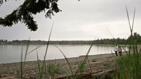 Chesapeake Shores Beach GIF by Hallmark Channel - Find & Share on GIPHY