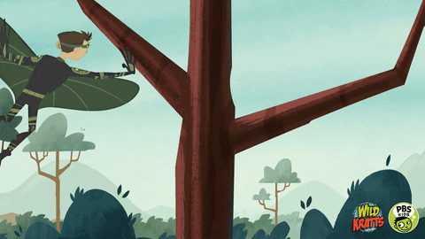 Tree Splat GIFs - Get the best GIF on GIPHY