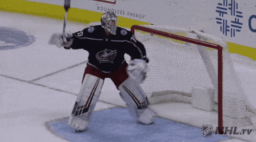 Angry Ice Hockey GIF by NHL - Find & Share on GIPHY