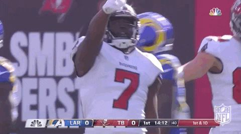 Tampa Bay Buccaneers Football GIF by NFL - Find & Share on GIPHY