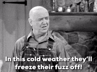 Fuzzing GIFs - Get the best GIF on GIPHY