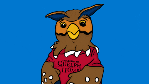 University of Guelph-Humber GIFs on GIPHY - Be Animated