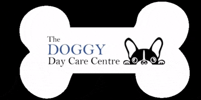 The Doggy Day Care Centre GIFs on GIPHY - Be Animated