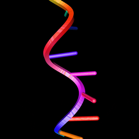Halo Biology GIF by Art and Fact - Find & Share on GIPHY