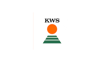 KWS Logo GIFs on GIPHY - Be Animated