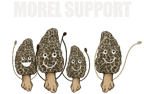 Fungi Foundation GIFs on GIPHY - Be Animated