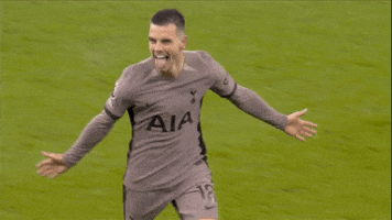 Tottenham Hotspur GIFs on GIPHY - Be Animated