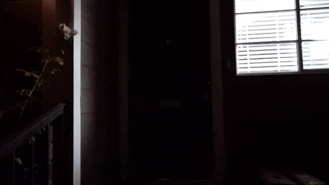 Dance Dancing GIF by Guava Juice - Find & Share on GIPHY