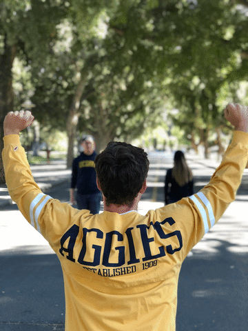 Aggieheroes GIFs - Get the best GIF on GIPHY