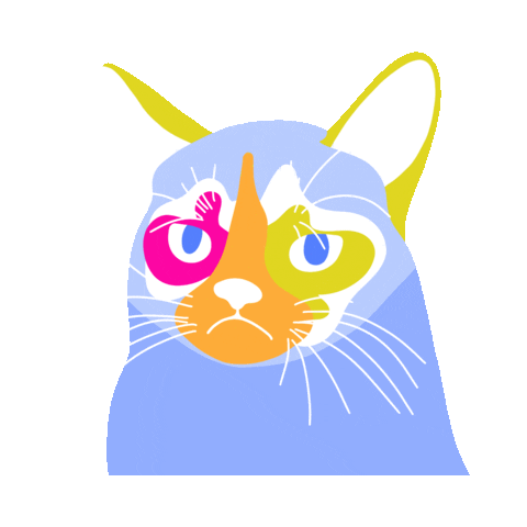 Tired Grumpy Cat Sticker for iOS & Android | GIPHY