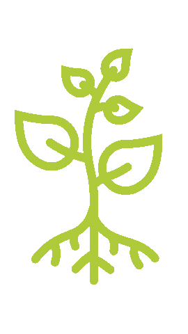 values GIFs on GIPHY - Be Animated