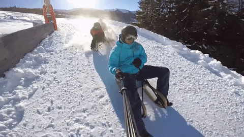 Toboggan GIFs - Get the best GIF on GIPHY