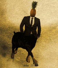 Centauro GIFs - Get the best GIF on GIPHY