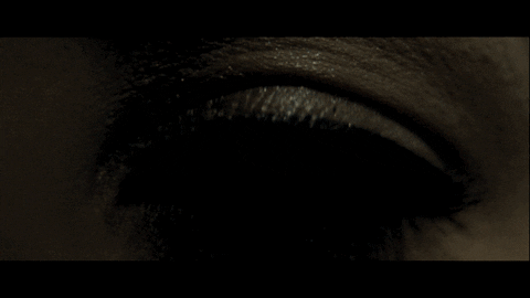 Dawn In Luxor GIFs - Get the best GIF on GIPHY