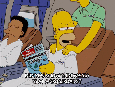 Homer Simpson Travel GIF - Find & Share on GIPHY