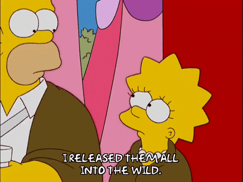 Released Into The Wild GIFs - Get the best GIF on GIPHY