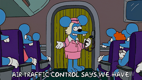 Traffic Controller GIFs - Get the best GIF on GIPHY
