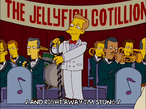 Cotillion GIFs - Get the best GIF on GIPHY