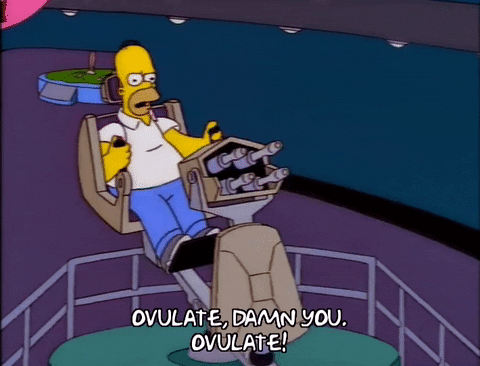 Ovule GIFs - Get the best GIF on GIPHY