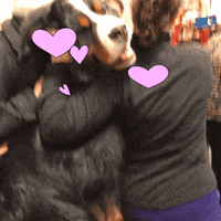 Puppies Cuddling Gif