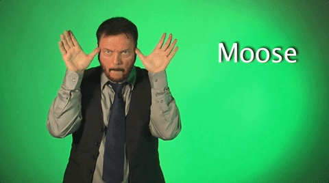 Sign Language Moose GIF by Sign with Robert - Find & Share on GIPHY