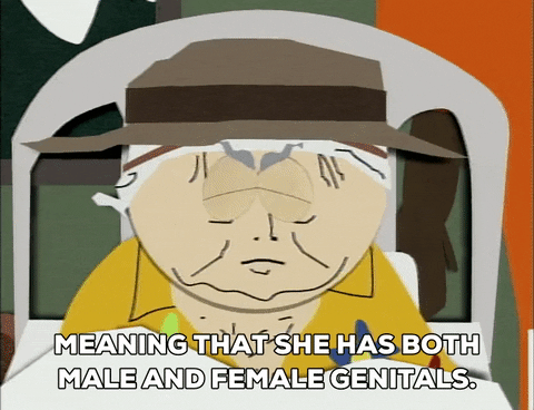 Male-and-female GIFs - Get the best GIF on GIPHY