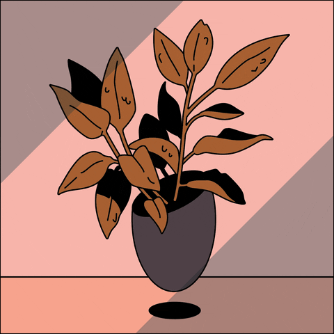 Animation Plant GIF by Kaylee Pinecone - Find & Share on GIPHY