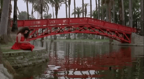 Resumen-de-mi-vida GIFs - Get the best GIF on GIPHY