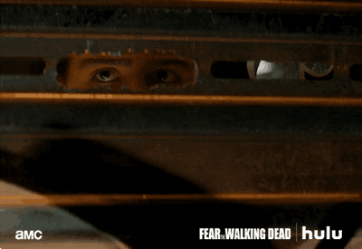 Best peeking GIFs - Primo GIF - Latest Animated GIFs