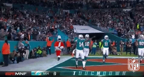Miami Dolphins Football GIF by NFL - Find & Share on GIPHY